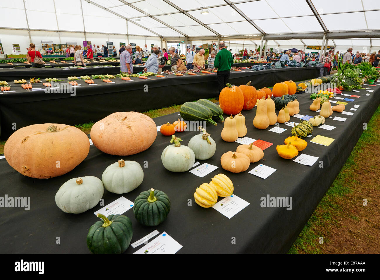 Prize Winning Vegetables On Display At The Malvern Autumn Show ...