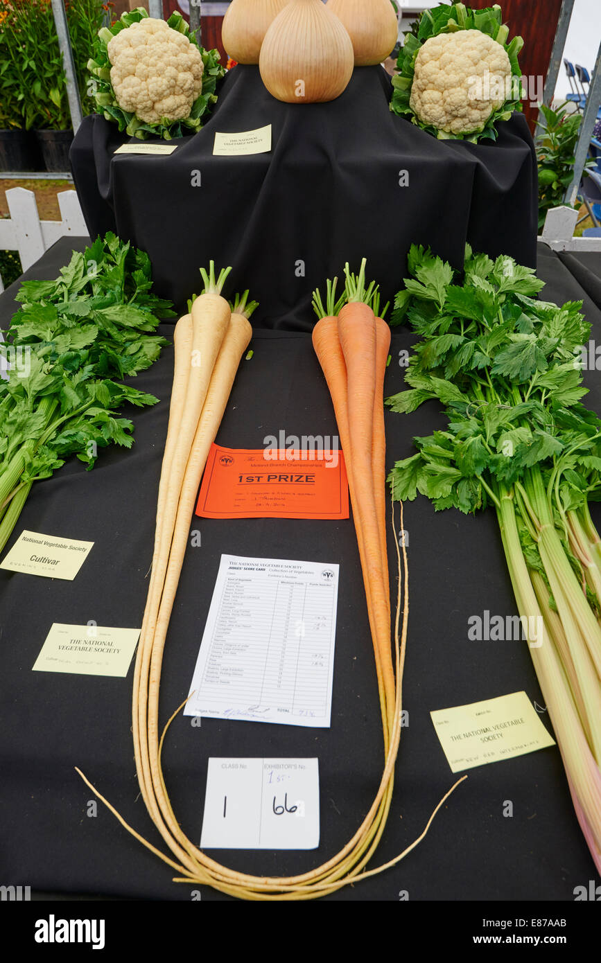 Vegetables display show veg hi-res stock photography and images - Alamy