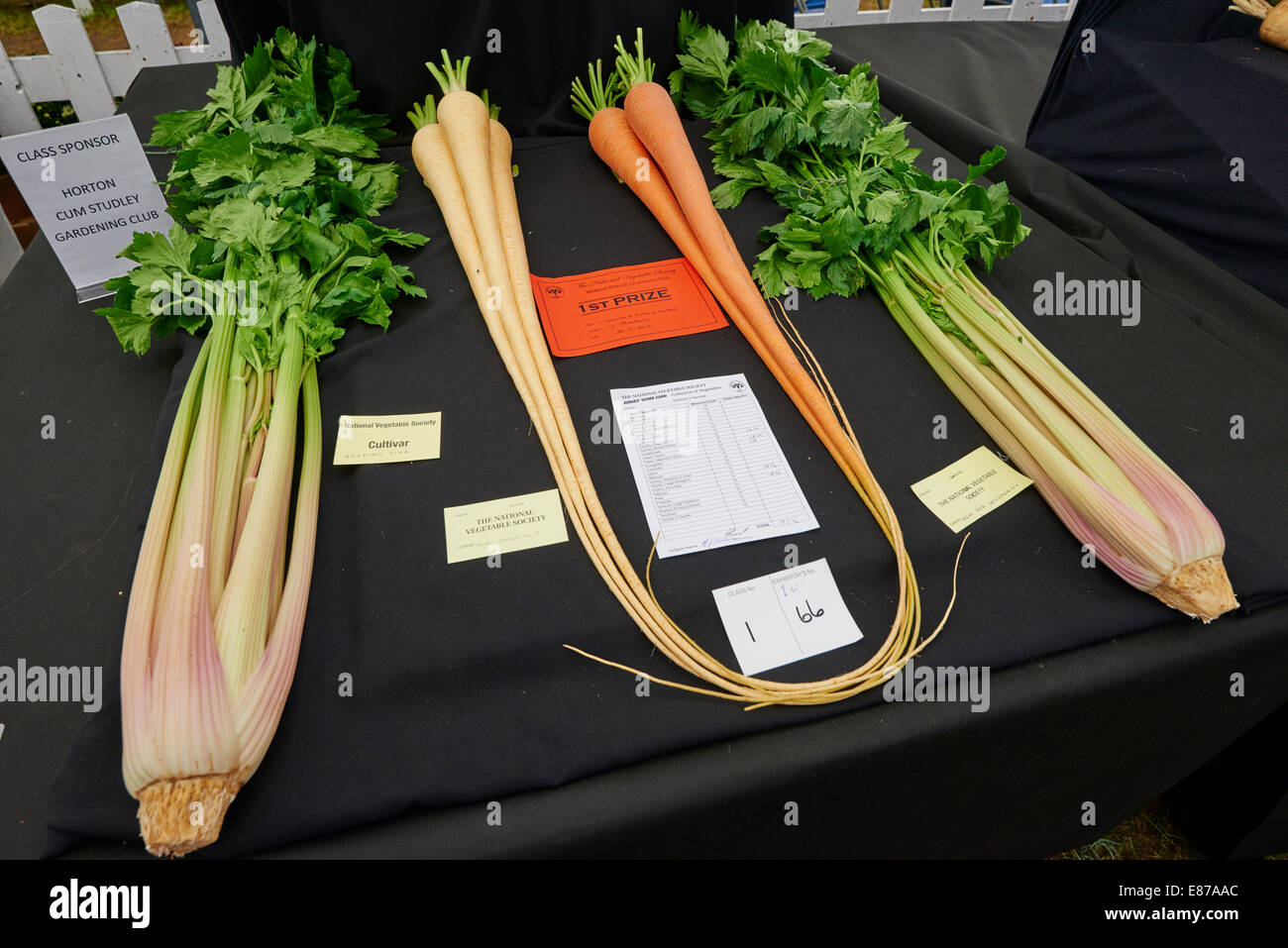 Prize Winning Vegetables On Display At The Malvern Autumn Show ...
