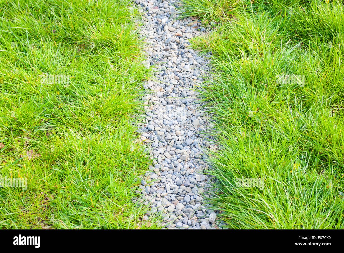 Stepping stone path concrete hi-res stock photography and images - Alamy