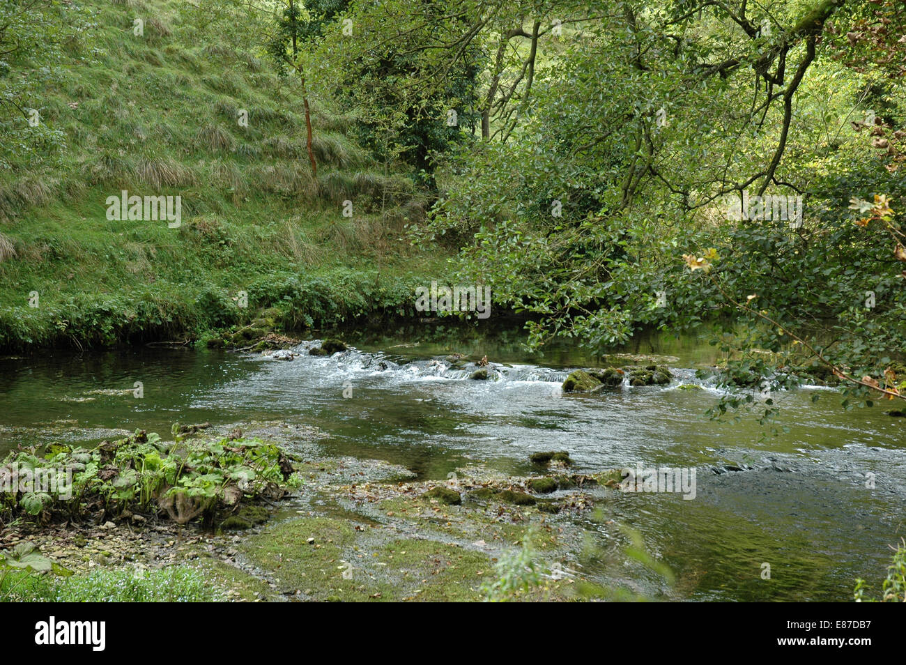 Millers Dale in Derbyshire by River Wye Stock Photo - Alamy