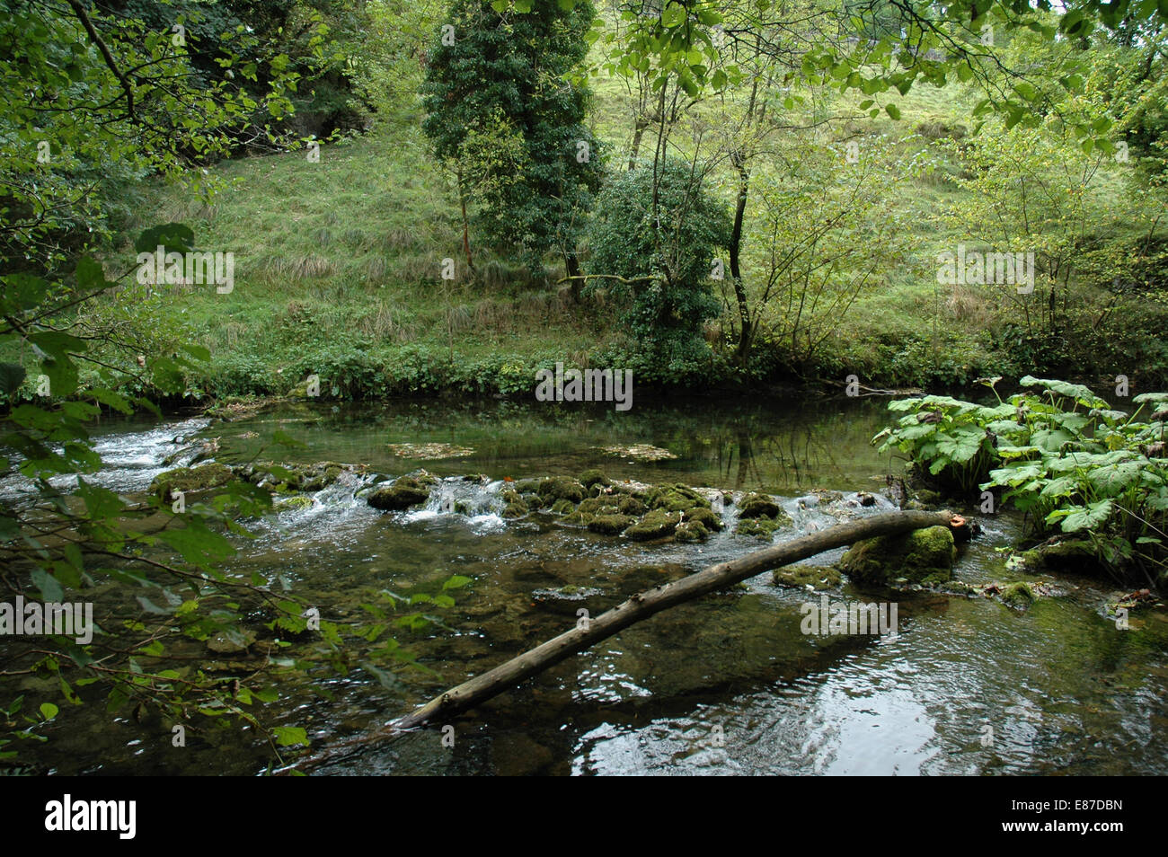 Millers Dale in Derbyshire by River Wye Stock Photo - Alamy