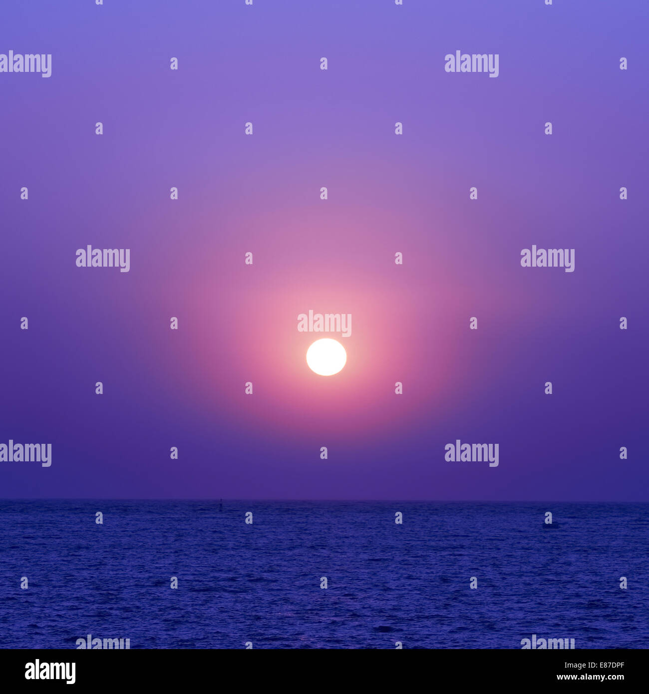 Beautiful sunset on the sea, red sun and flying seagulls Stock Photo ...