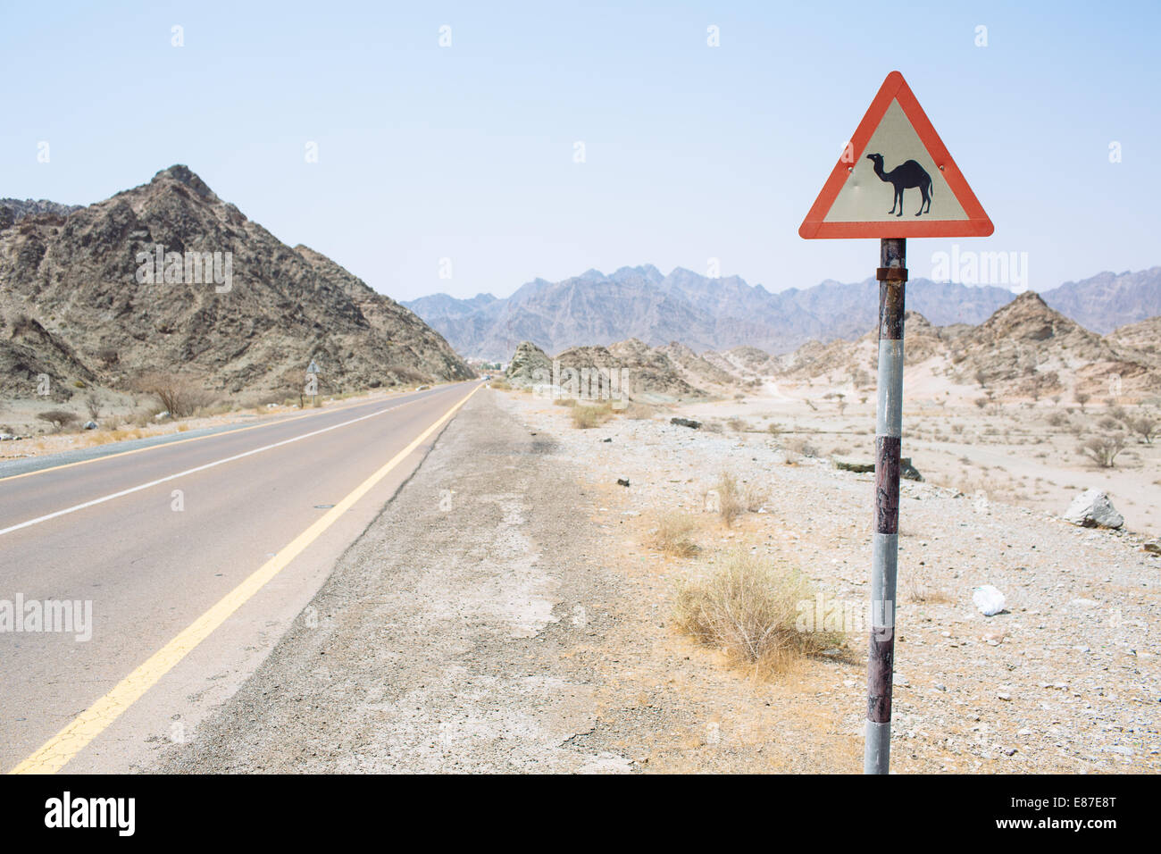 Camel road sign hi-res stock photography and images - Alamy