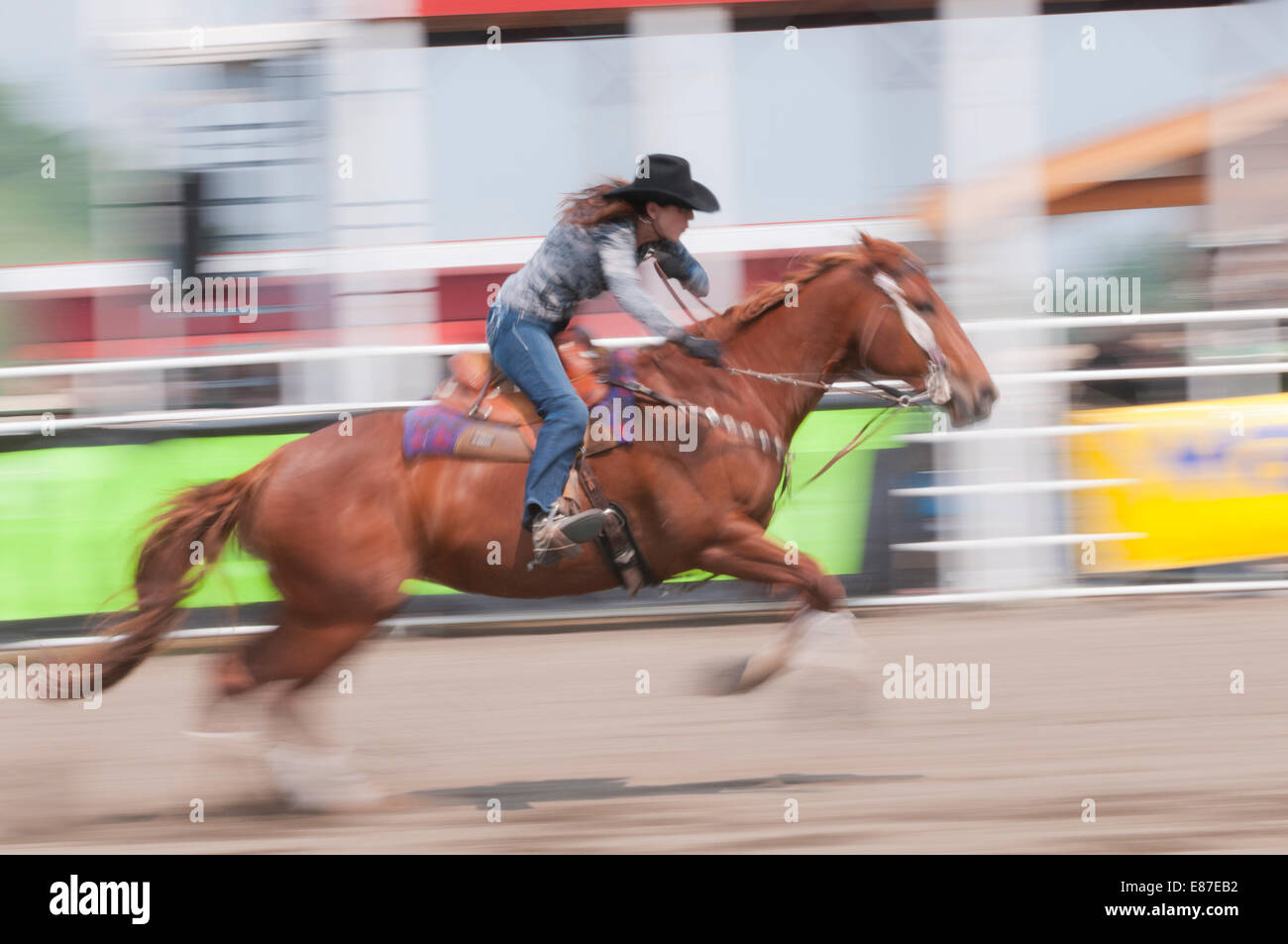 Motion blur of a cowgirl riding fast during barrel racing, Sundre Pro ...