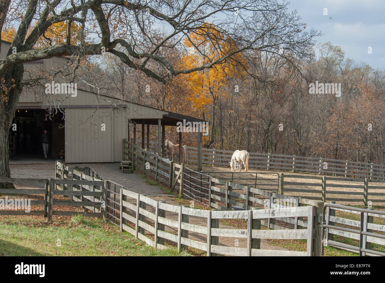 Farm and horses hi-res stock photography and images - Alamy