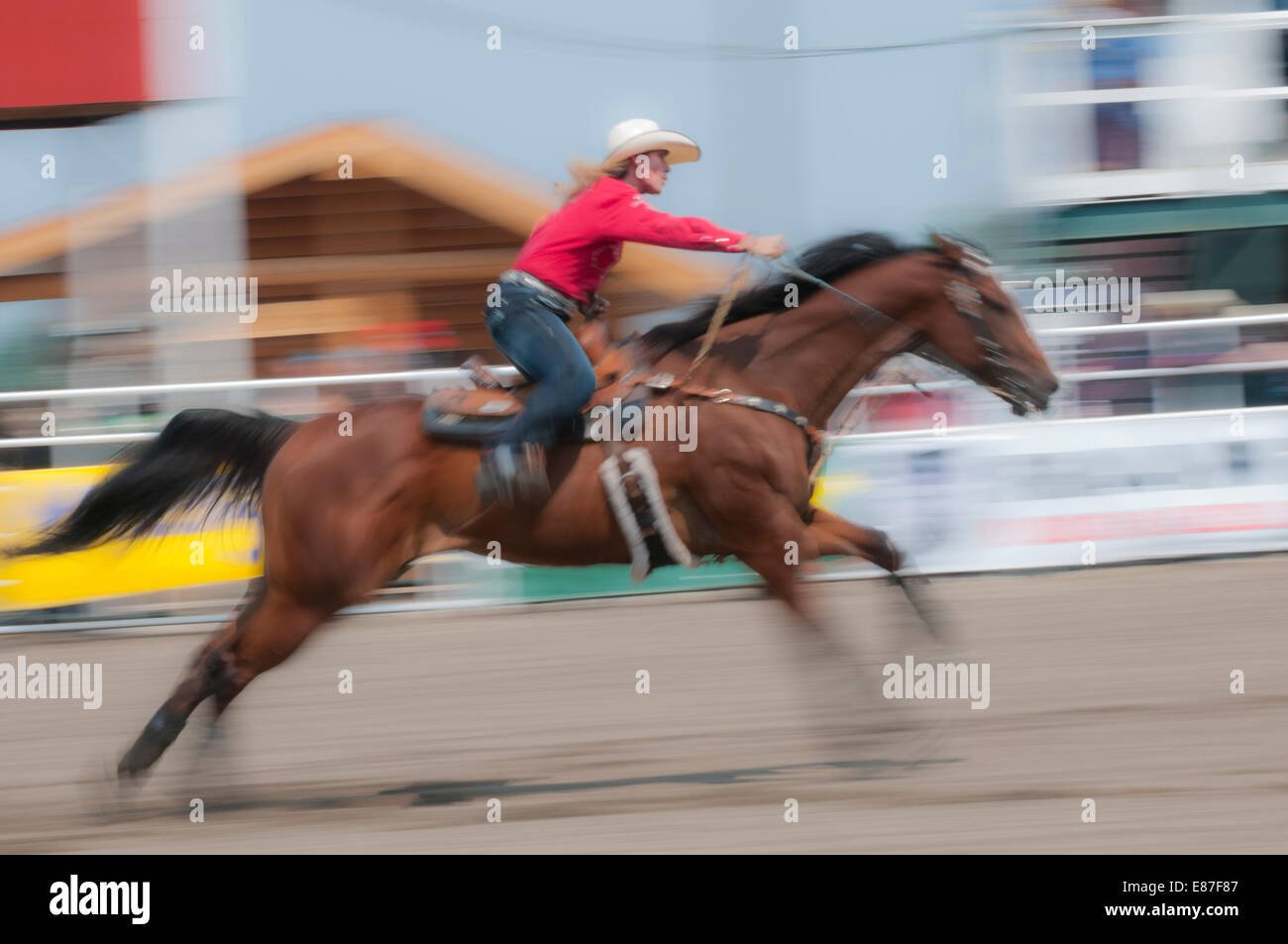Motion blur of a cowgirl riding fast during barrel racing, Sundre Pro ...