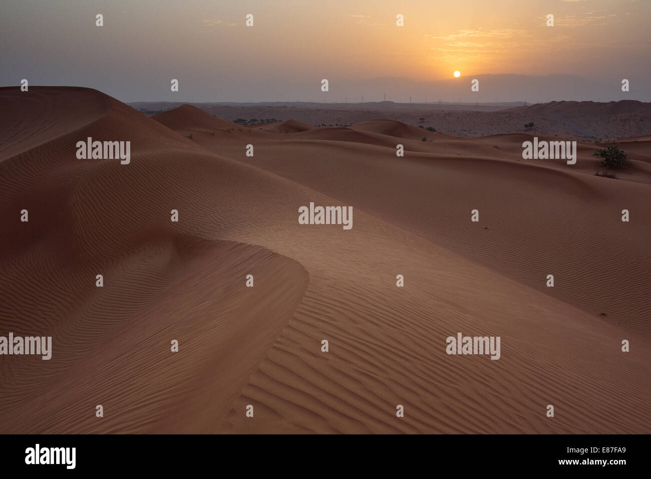 Moring desert hi-res stock photography and images - Alamy