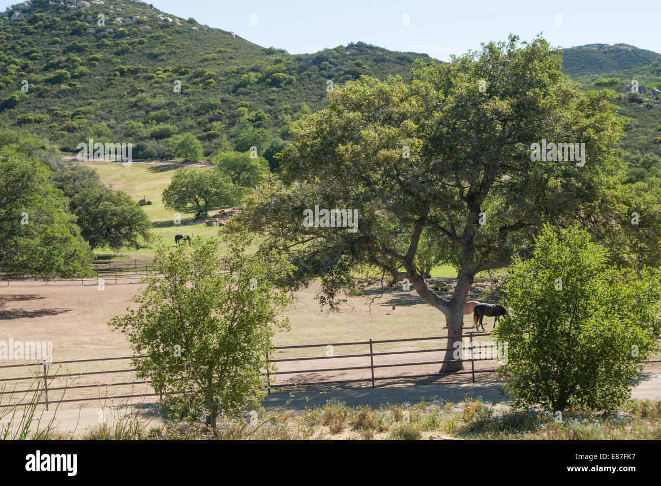 California farm hi-res stock photography and images - Alamy