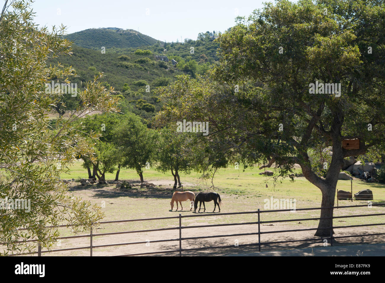 California farm hi-res stock photography and images - Alamy