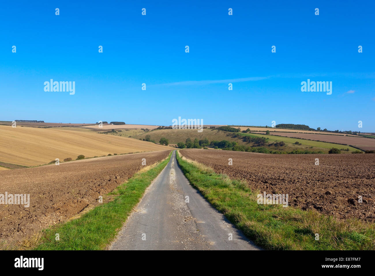 Country road through the undulating farming landscape of the Yorkshire ...