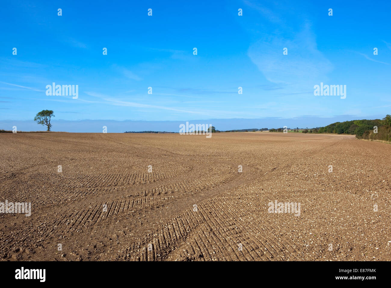 Chalky soil hi-res stock photography and images - Alamy