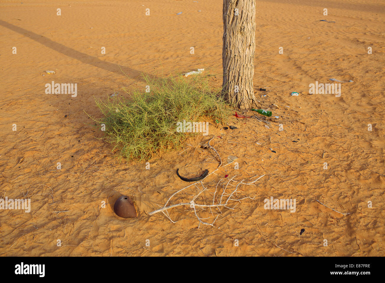 Human wastes pollution in a desert in Dubai, UAE Stock Photo - Alamy