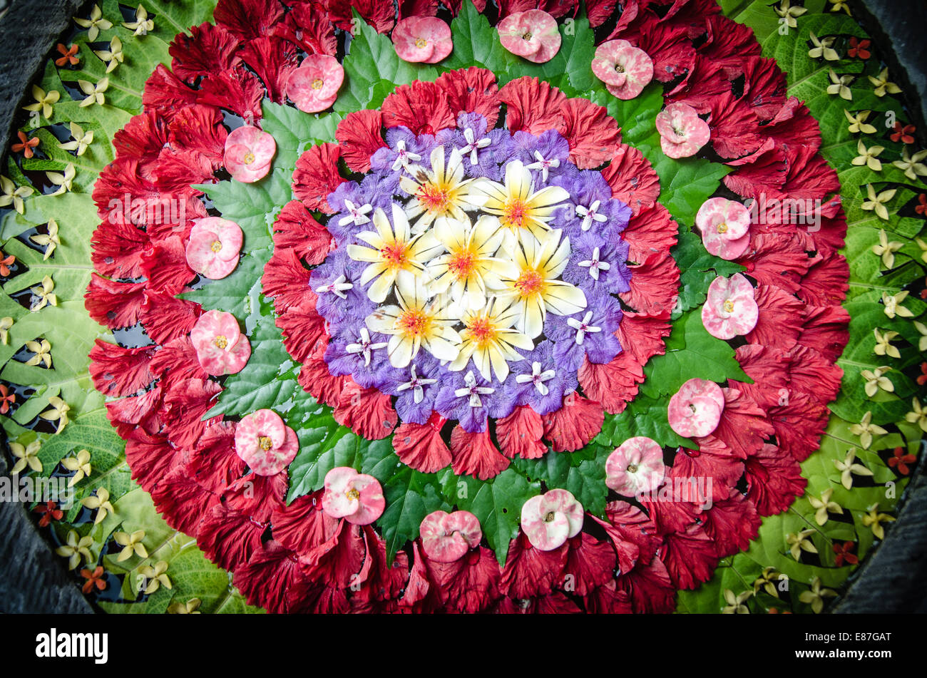 Flower arrangement at Bali Stock Photo - Alamy