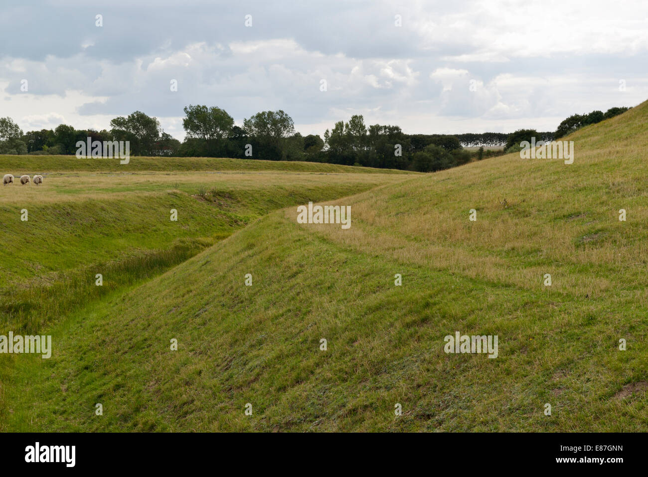 Baily, ditch, and sheep, Ring fortress, Trelleborg, Slagelse, Denmark ...