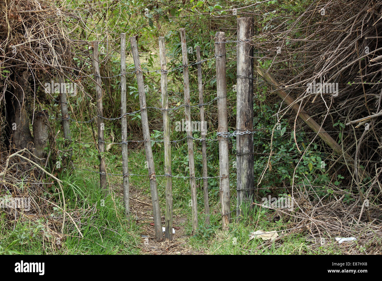 Barbed wire gate hi-res stock photography and images - Alamy