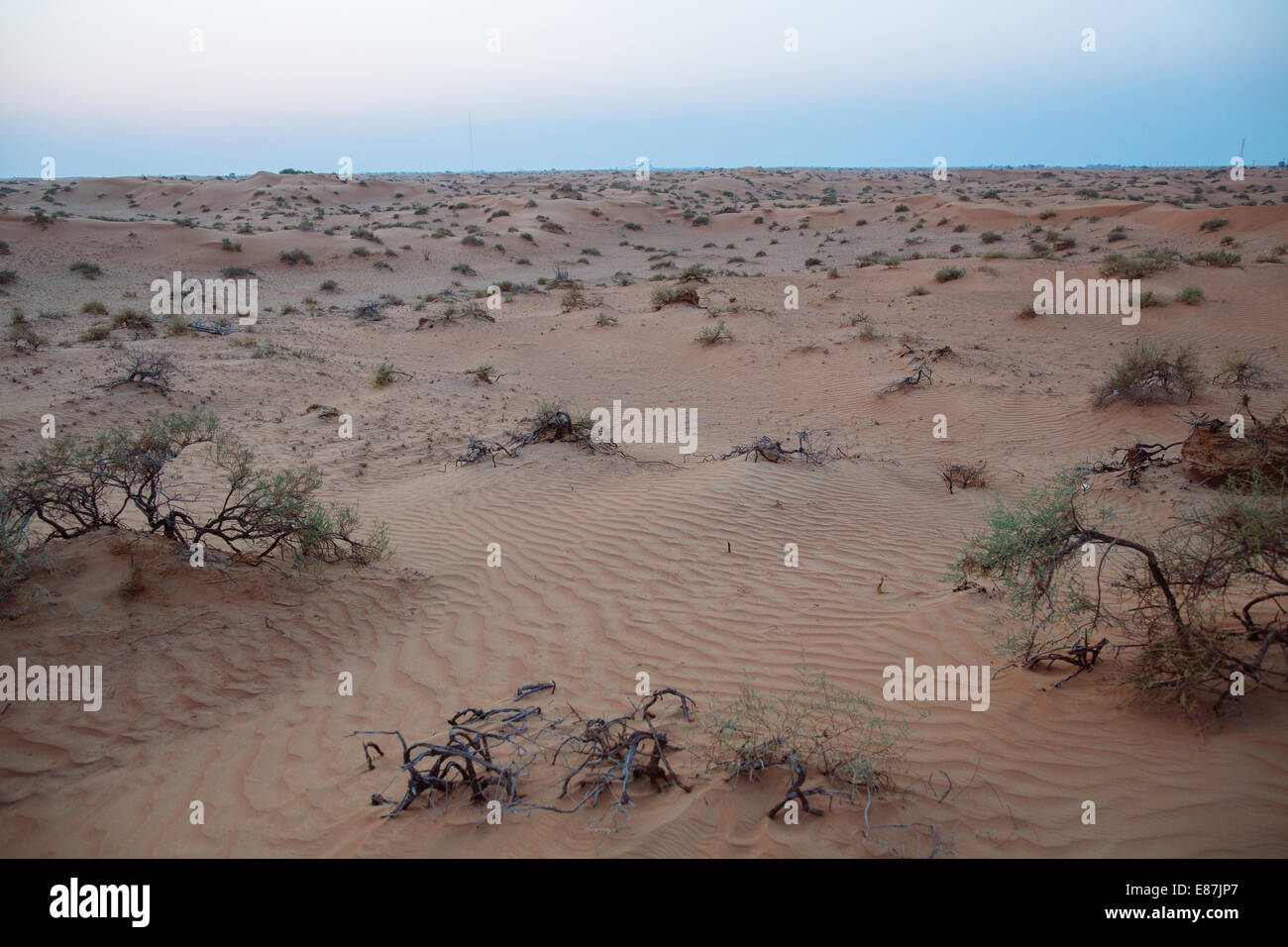 Empty and lonely desert in UAE Stock Photo - Alamy