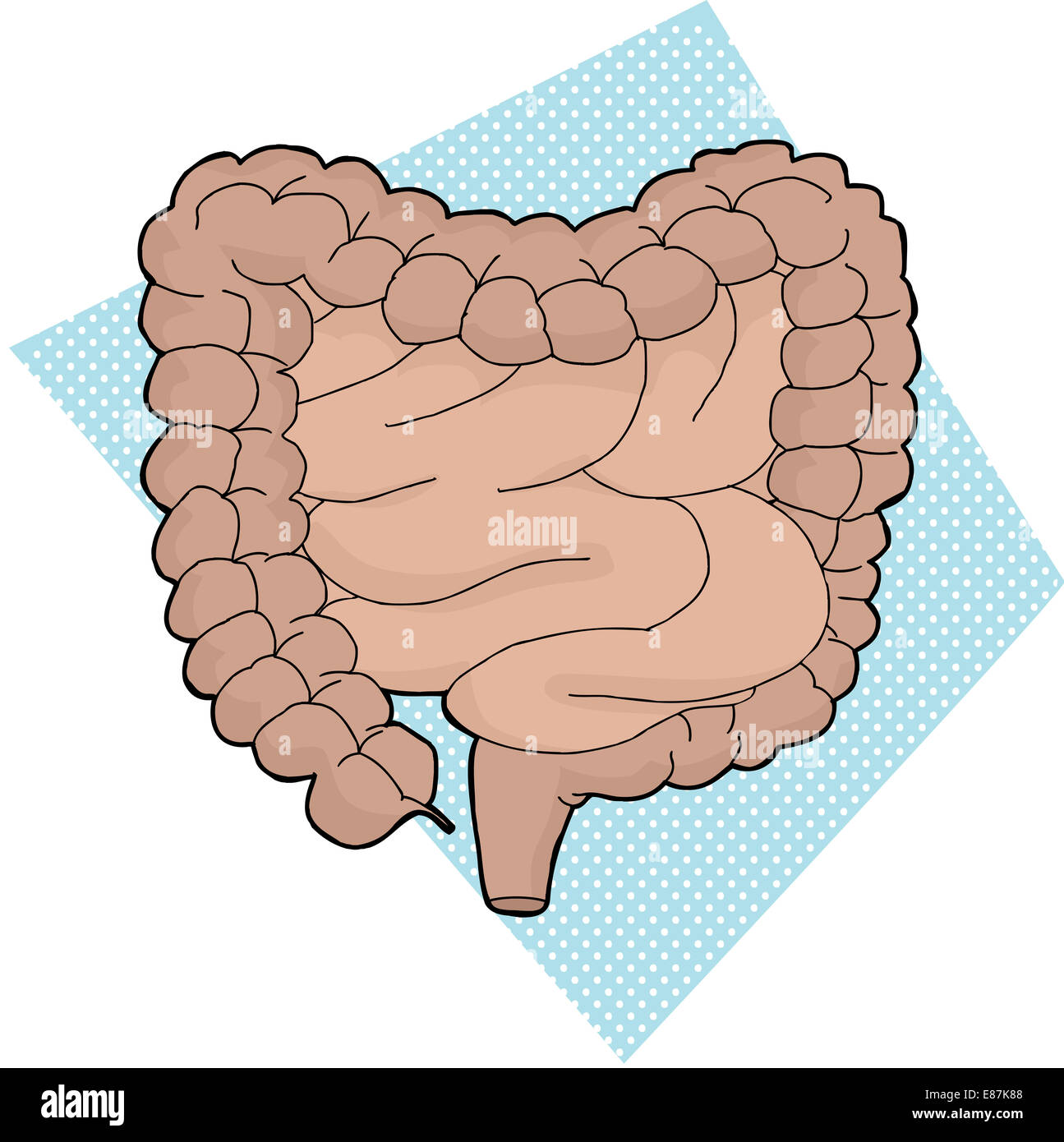Hand drawn cartoon human digestive tract over blue Stock Photo - Alamy