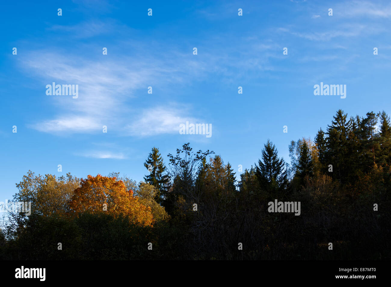 Blue hint hi-res stock photography and images - Alamy