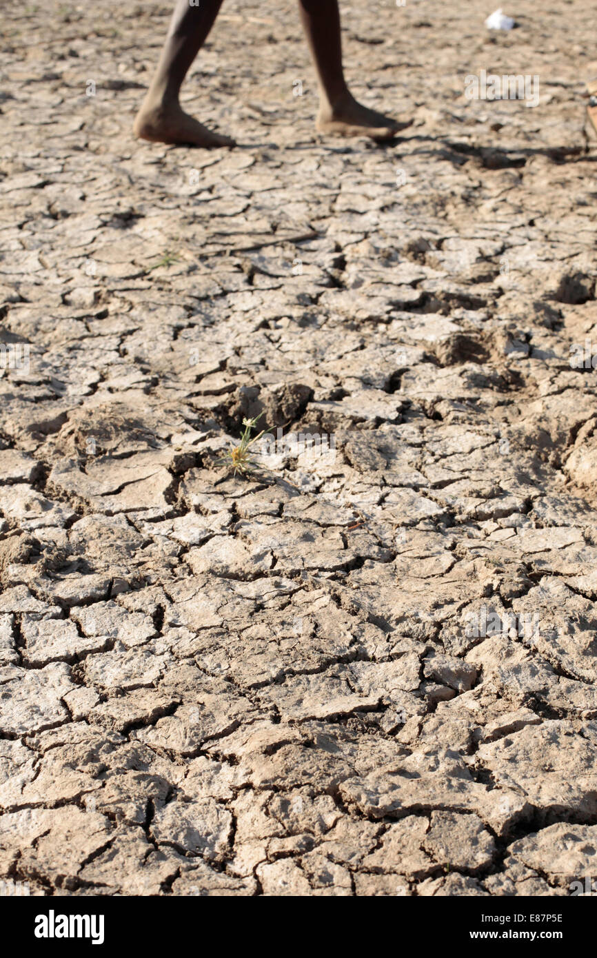 Cracked soil caused by lowering of water level at Omo River as one ...