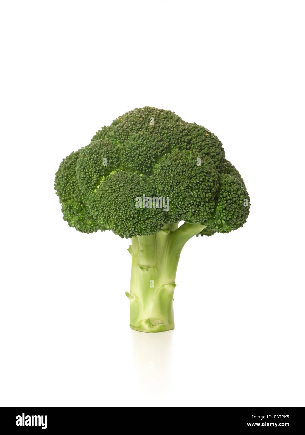 Single broccoli hi-res stock photography and images - Alamy