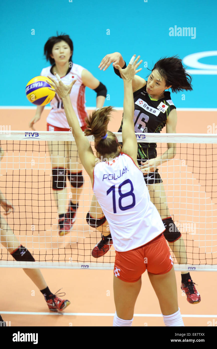 Maja poljak hi-res stock photography and images - Alamy