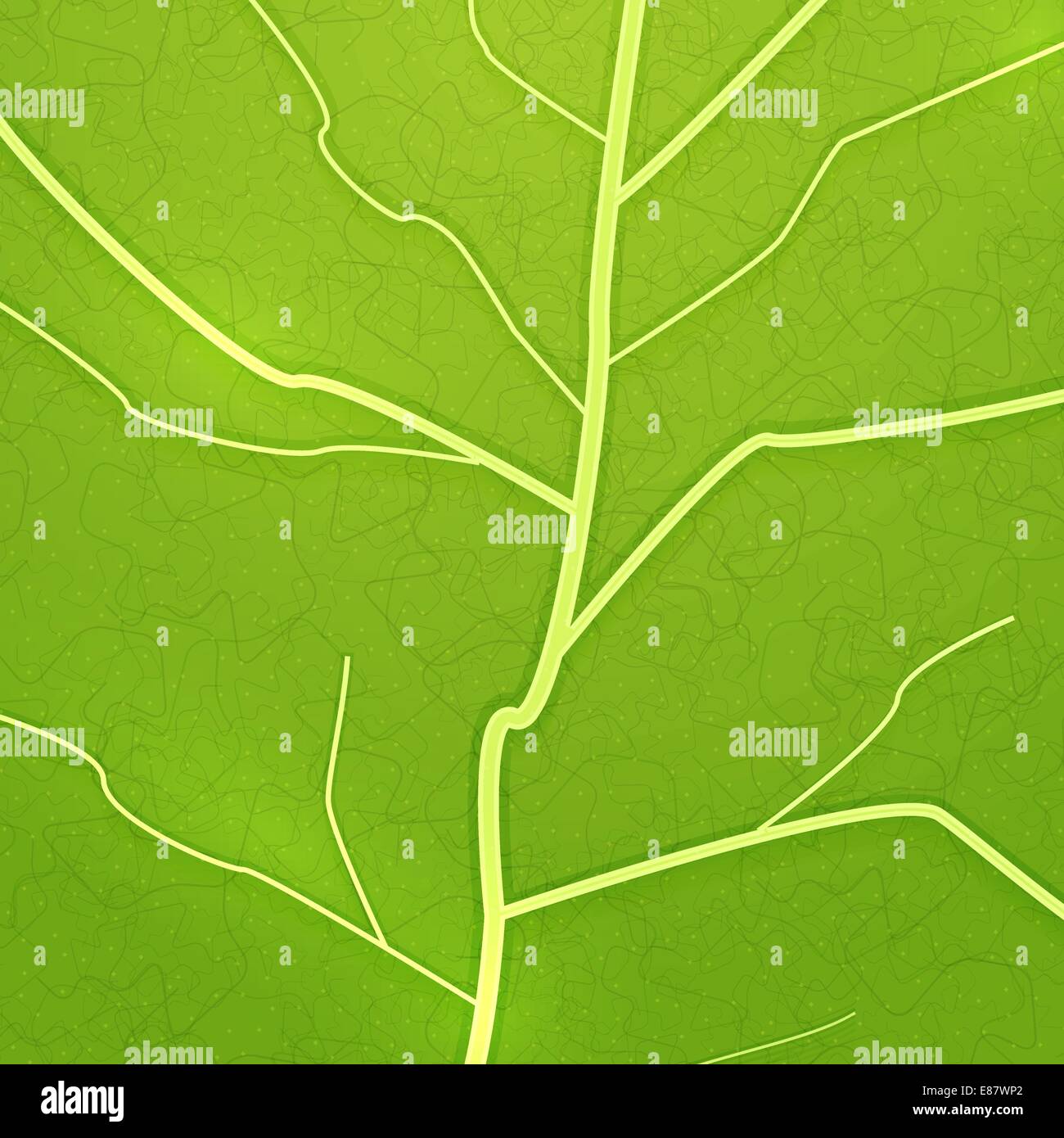 Vector fresh green leaf texture Stock Vector Image & Art - Alamy