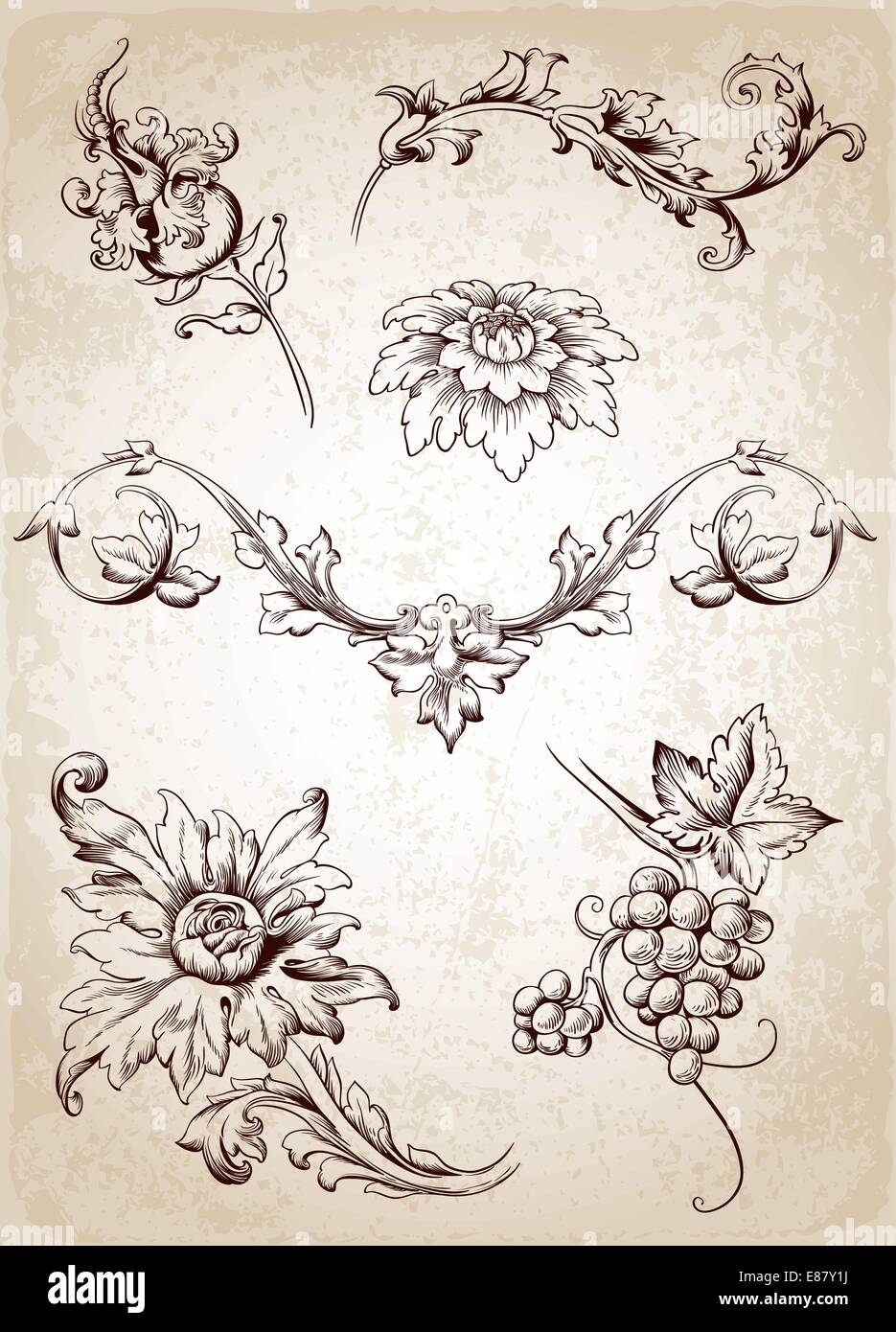 Vector vintage Victorian floral elements for design Stock Vector Image ...