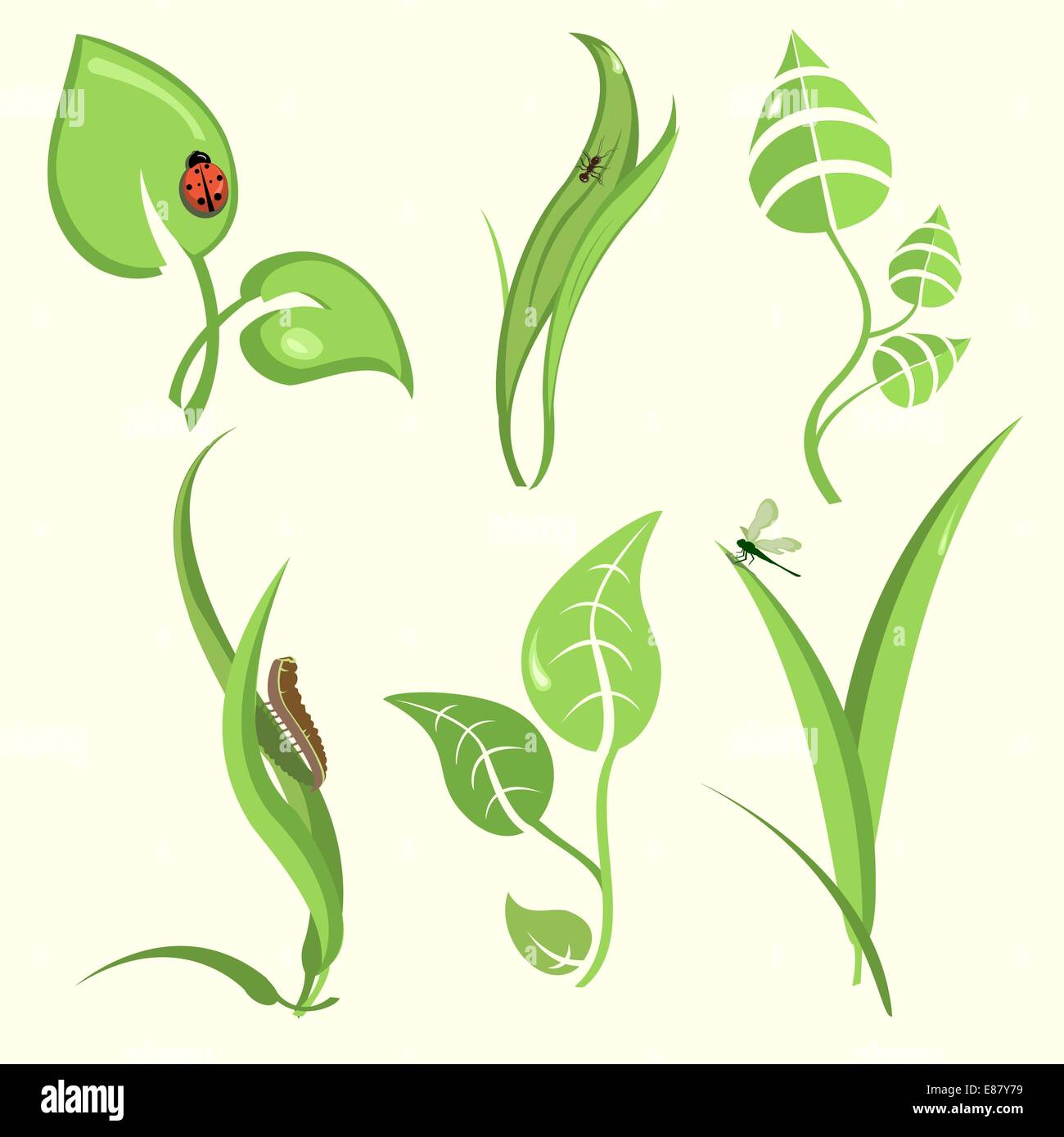Beetle ant plant spring green caterpillar Stock Vector Images - Alamy