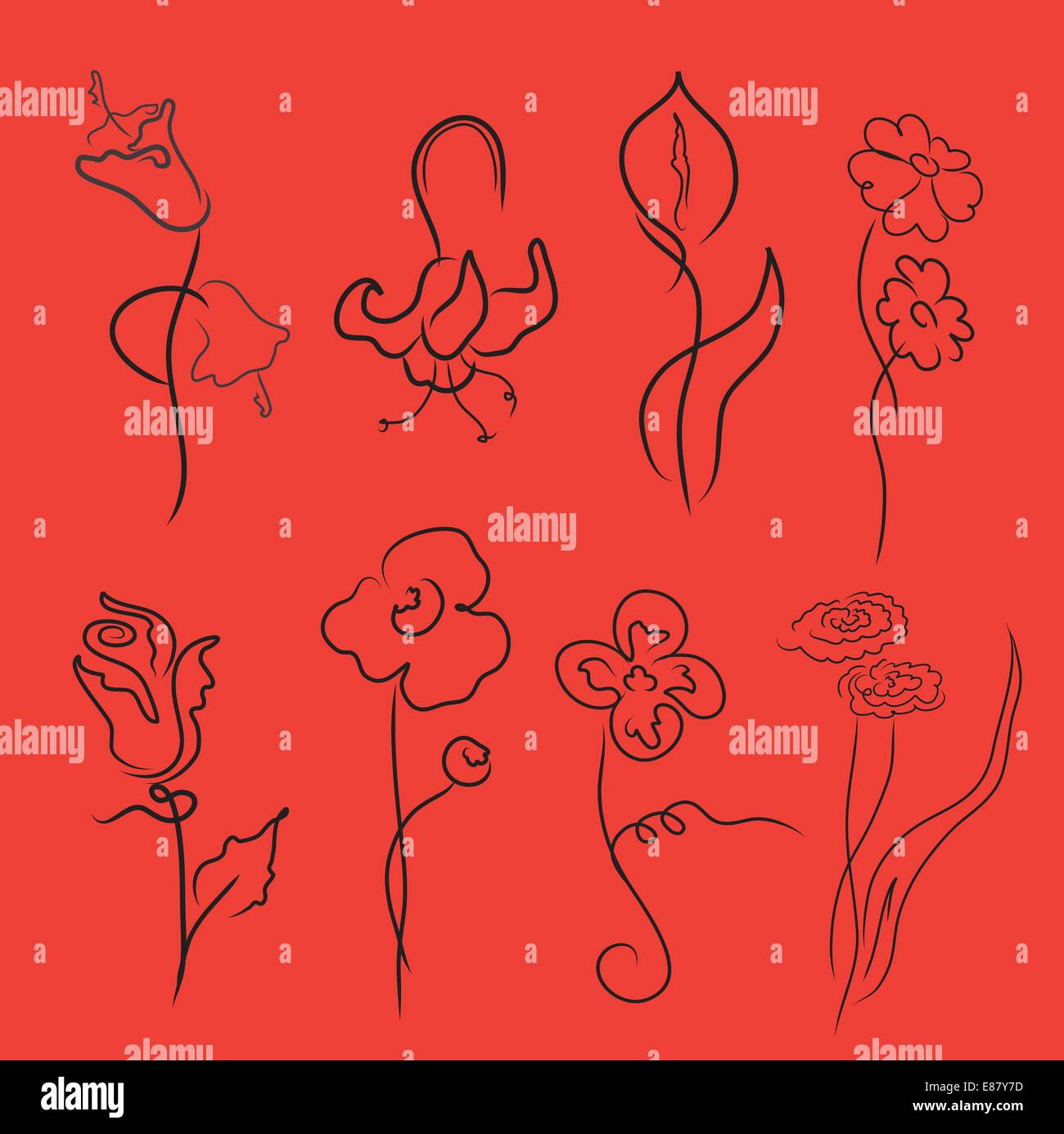 Vector illustration of flowers Design Set made with simple line only ...