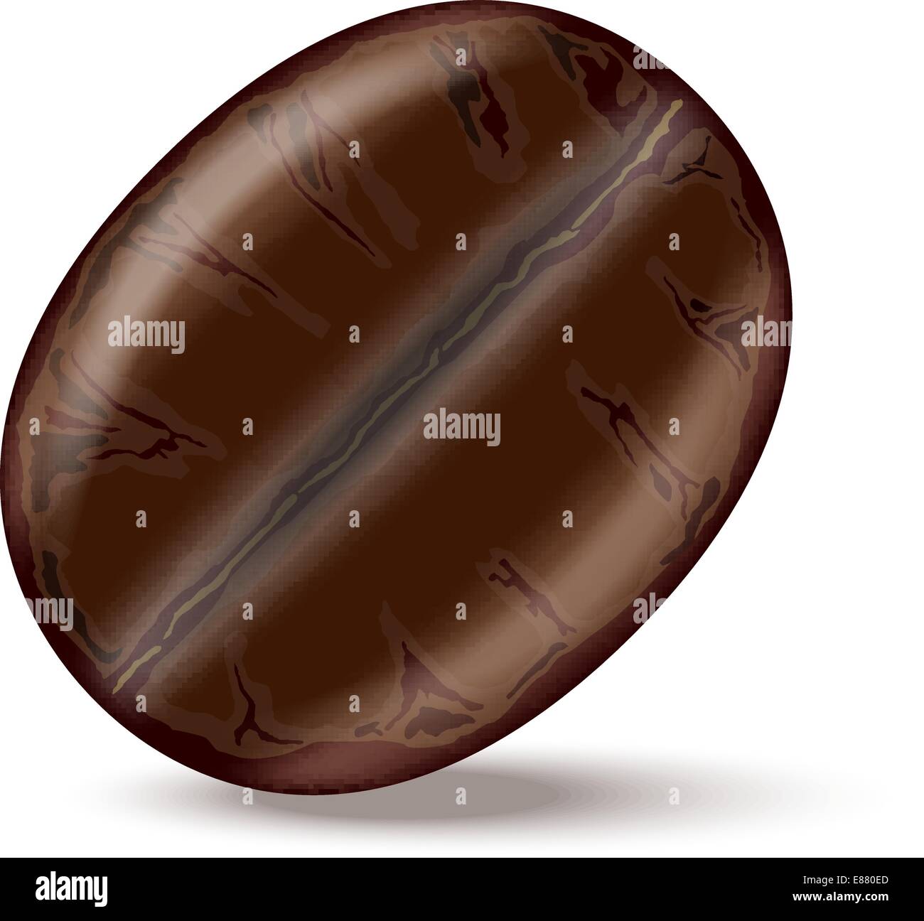 Roasted coffee grains on Stock Vector Images - Alamy