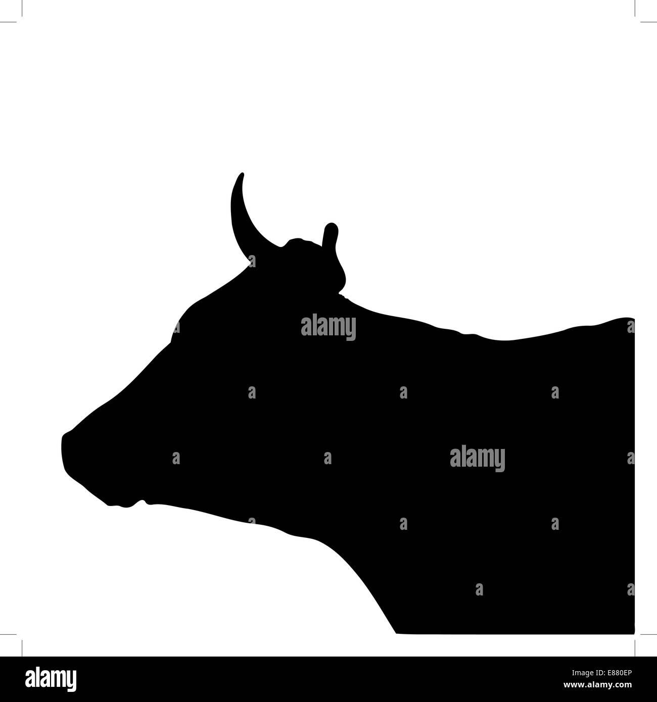 Cattle Head Silhouette