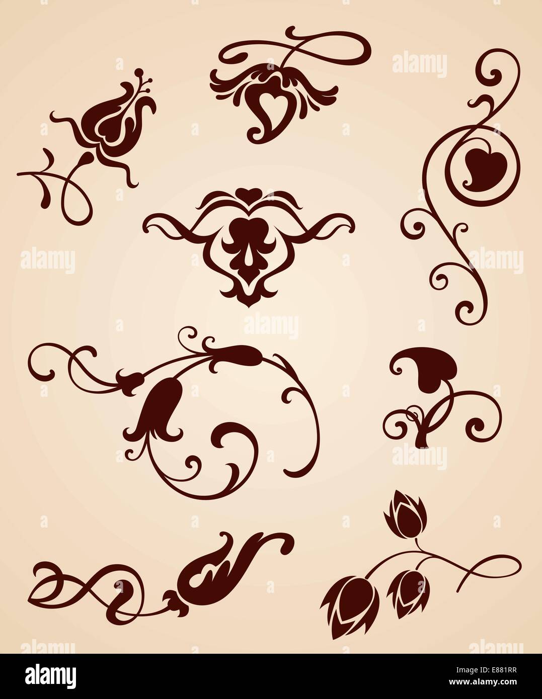 Set of vector calligraphic design elements Stock Vector Image & Art - Alamy