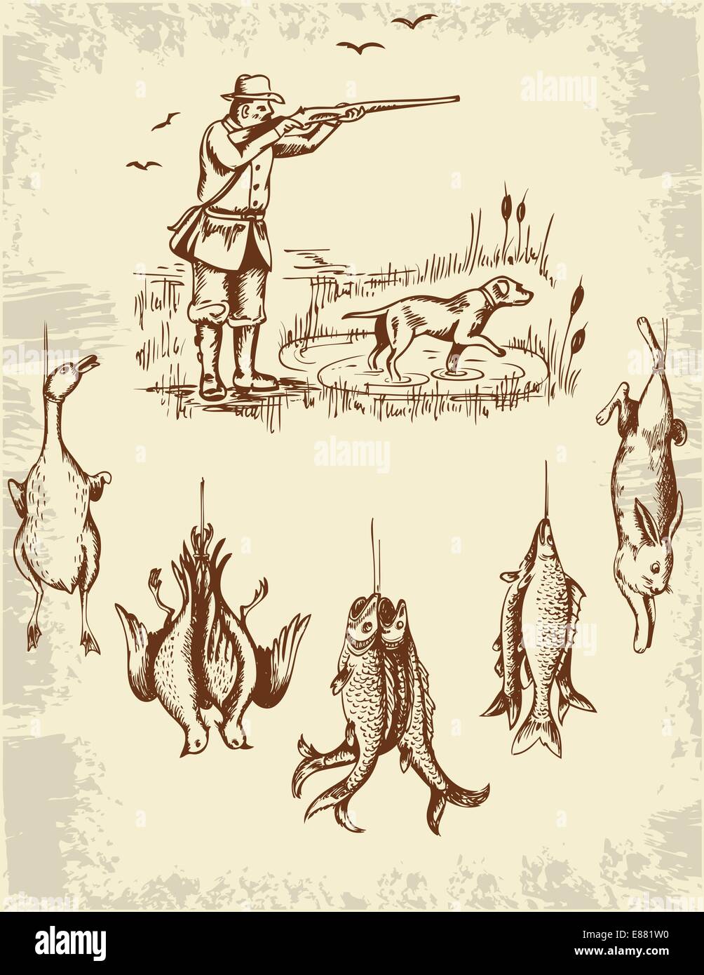 Vintage hand drawn wild animals and hunter Stock Vector Image & Art - Alamy