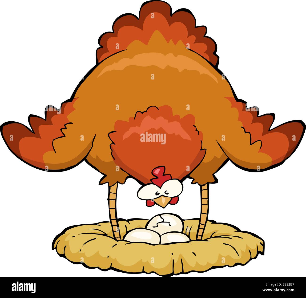 Chicken on a white background vector illustration Stock Vector Image ...