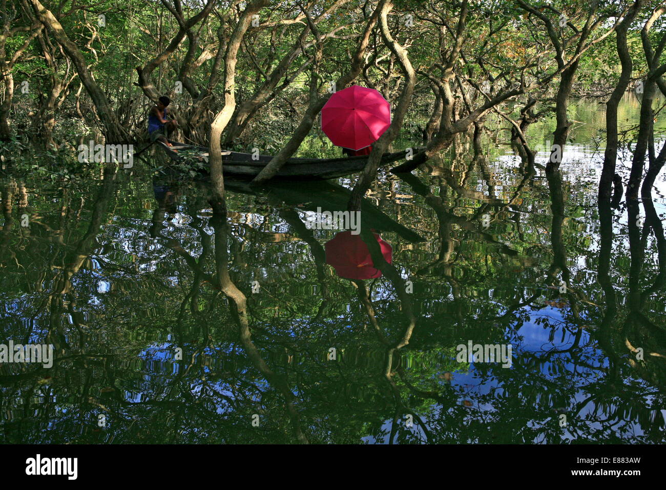 The tourist enjoying the scenery of Ratargul Natural Swamp Forest ...