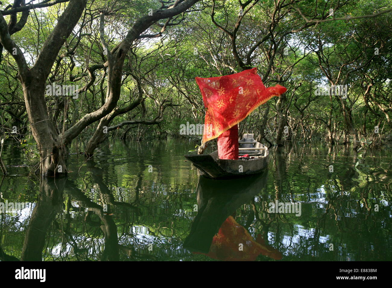 The tourist enjoying the scenery of Ratargul Natural Swamp Forest ...
