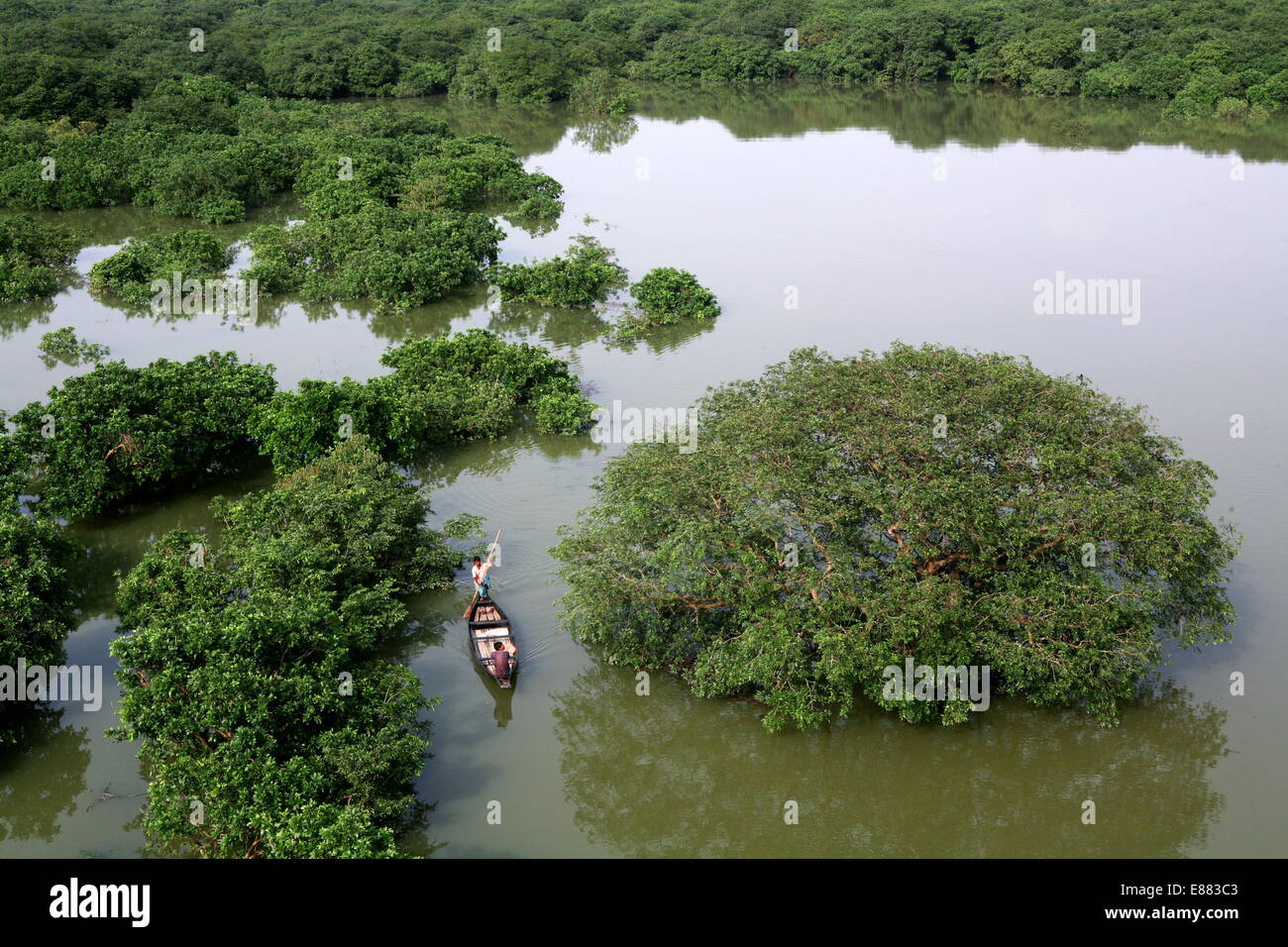 The tourist enjoying the scenery of Ratargul Natural Swamp Forest ...