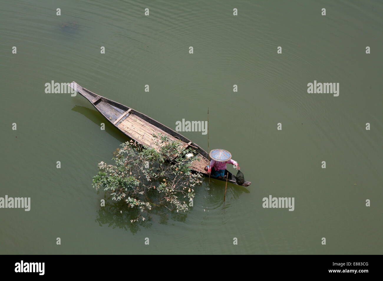 The tourist enjoying the scenery of Ratargul Natural Swamp Forest ...