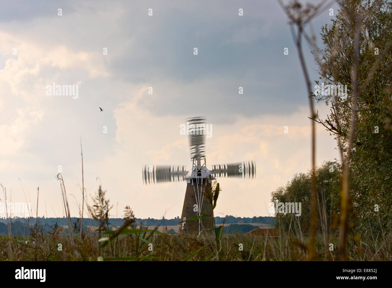 Norfolk windmill working Hardley drainage mill Stock Photo - Alamy