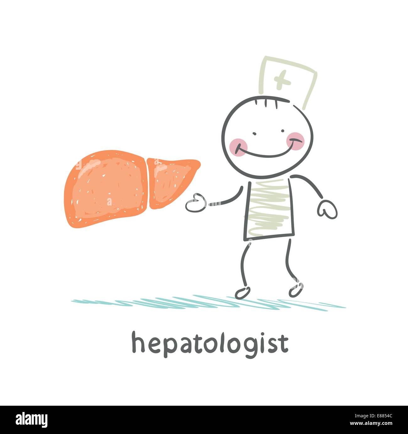 Check liver Stock Vector Images - Alamy