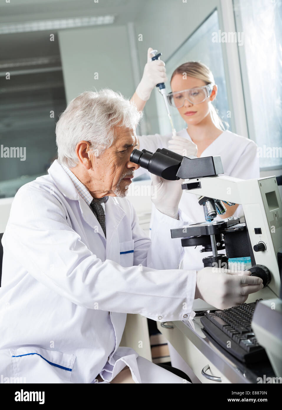 Male Scientist Using Microscope In Lab Stock Photo - Alamy