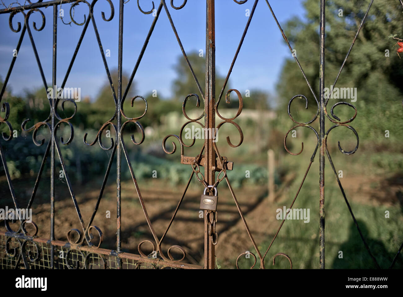 Security lock fitted to a gate with padlock and chain to secure access ...