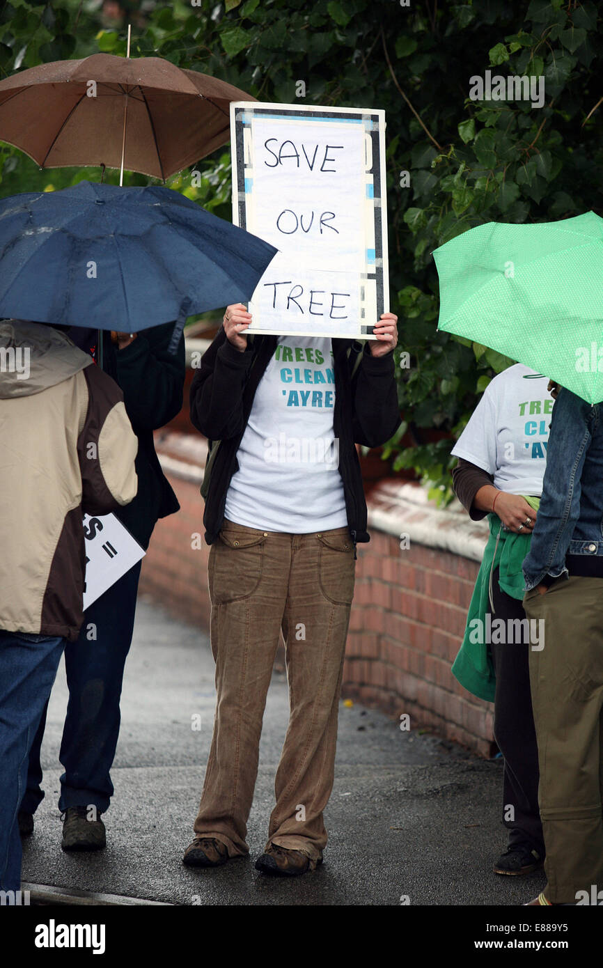 Save the trees hi-res stock photography and images - Alamy