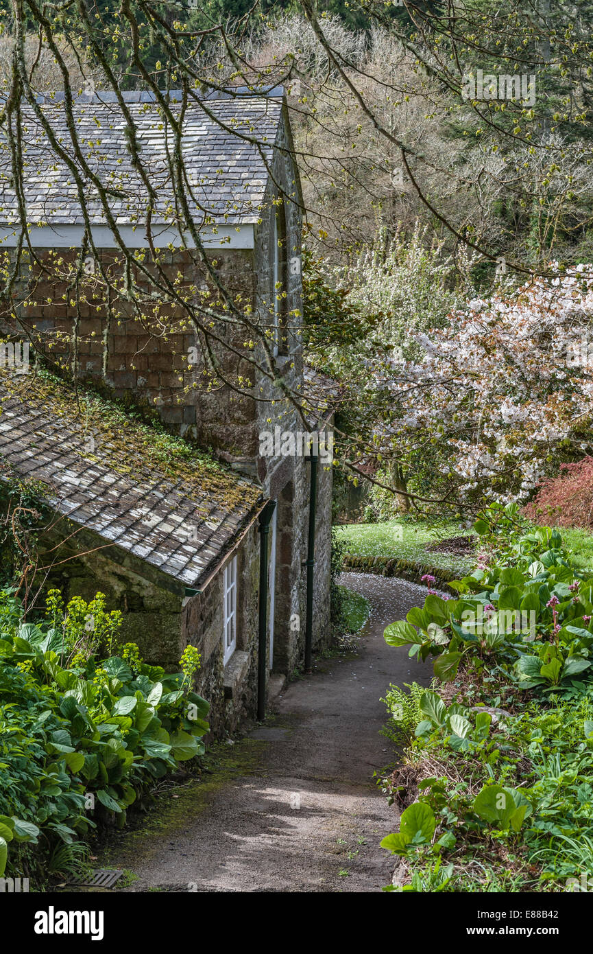 Trevarno helston cornwall hi-res stock photography and images - Alamy