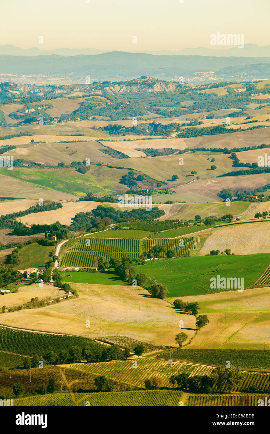 view of rural italian Tuscany landscape; hills with vineyard ...