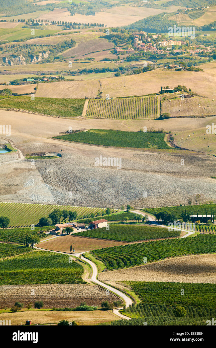 Sunshine view of rural Italian Tuscany landscape; hills with vineyard ...