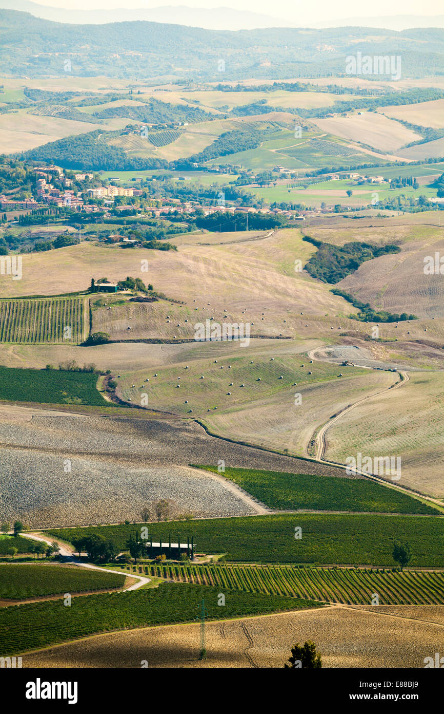 Sunshine view of rural Italian Tuscany landscape; hills with vineyard ...