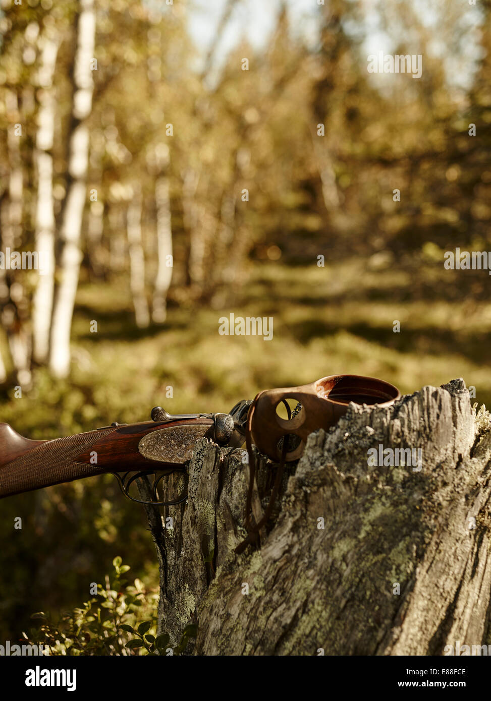 Stump Gun High Resolution Stock Photography and Images - Alamy