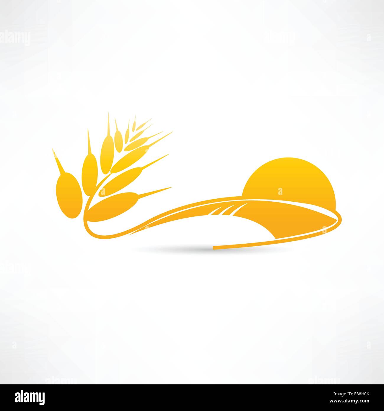 Mature growth wheat grain Stock Vector Images - Alamy